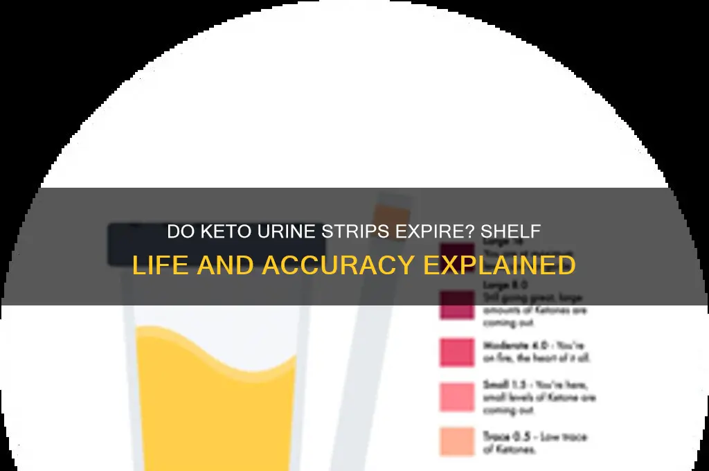 Do Keto Urine Strips Expire? Shelf Life And Accuracy Explained | ShunKeto