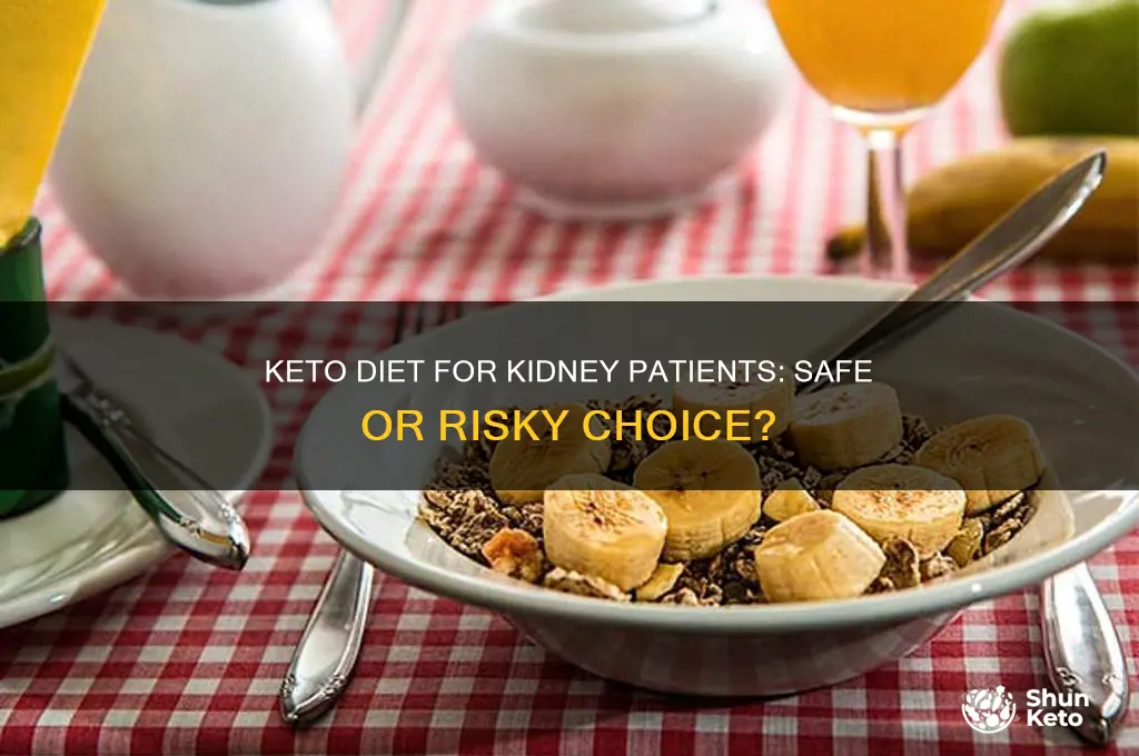 Keto Diet For Kidney Patients: Safe Or Risky Choice? | ShunKeto