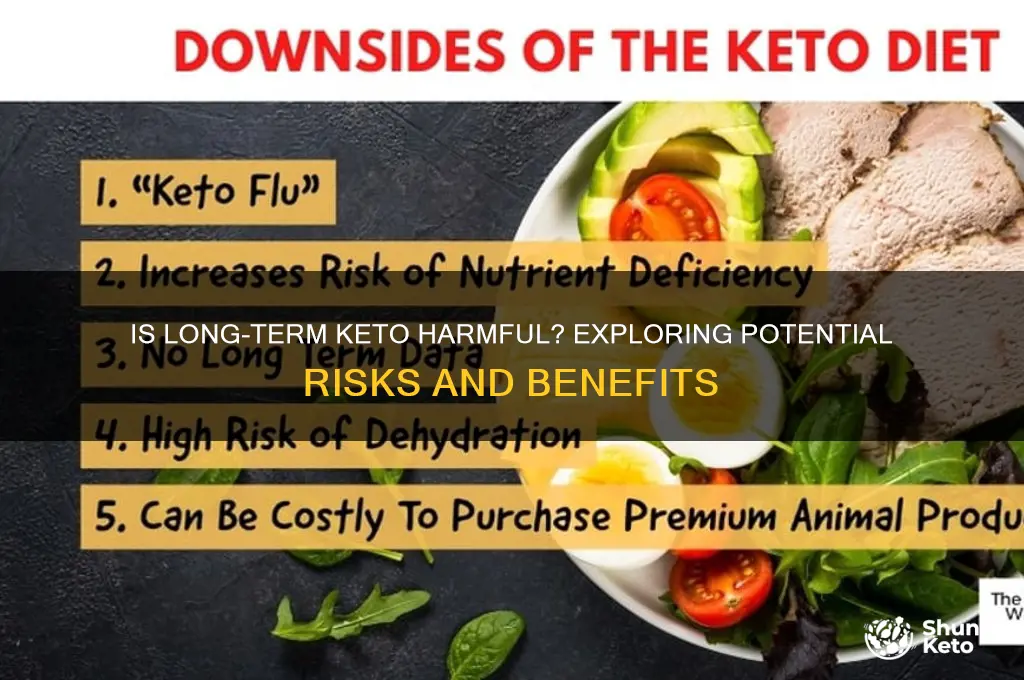 Is Long-Term Keto Harmful? Exploring Potential Risks And Benefits ...