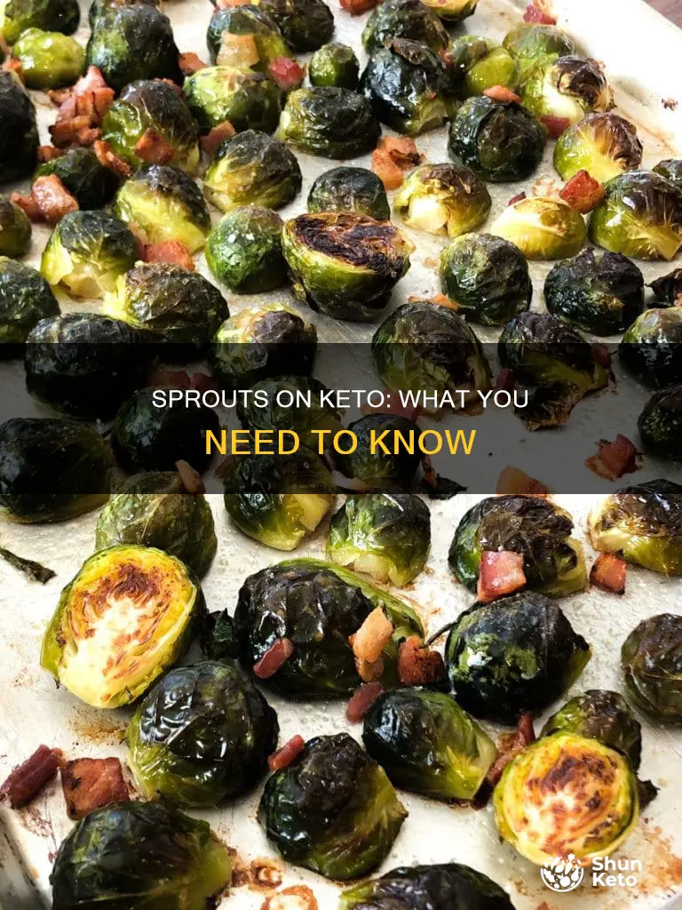 Sprouts On Keto: What You Need To Know | ShunKeto