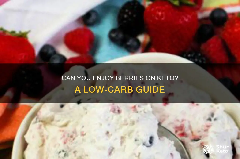 Can You Enjoy Berries On Keto? A Low-Carb Guide | ShunKeto