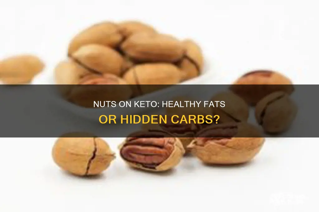 Nuts On Keto: Healthy Fats Or Hidden Carbs? | ShunKeto