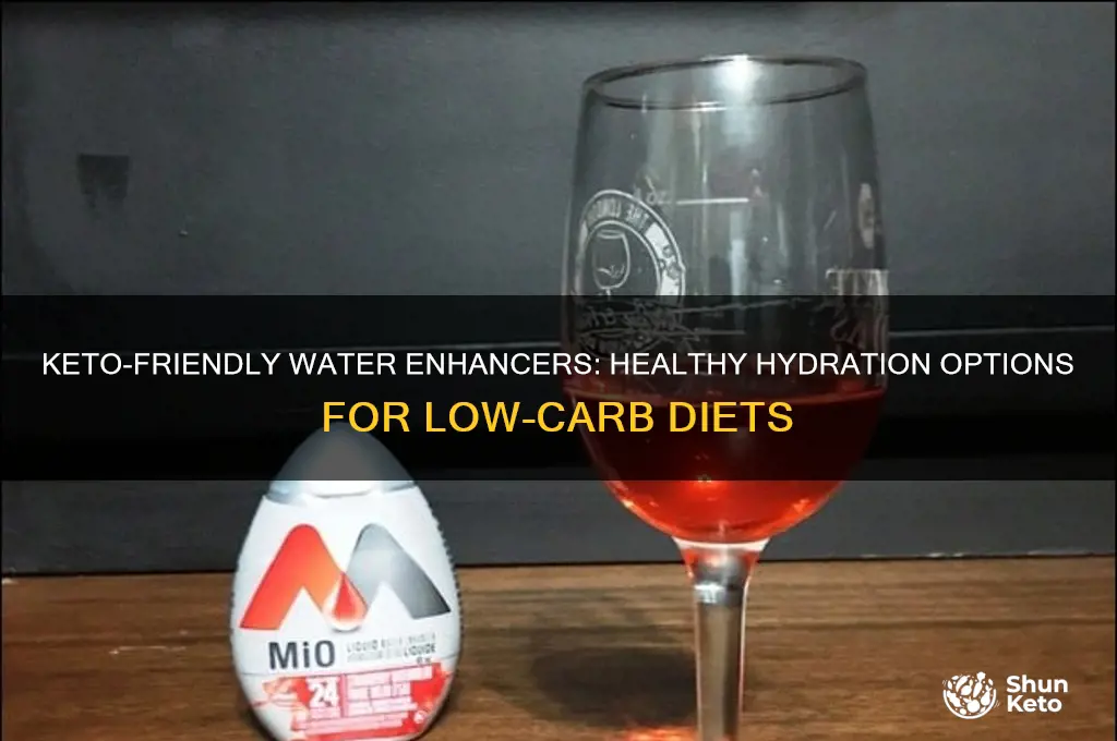 Keto-Friendly Water Enhancers: Healthy Hydration Options For Low-Carb ...