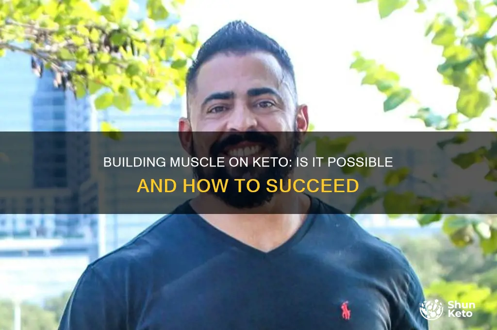 Building Muscle On Keto: Is It Possible And How To Succeed | ShunKeto