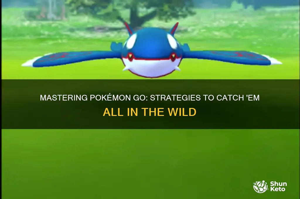 Mastering Pokémon Go: Strategies To Catch 'Em All In The Wild | ShunKeto