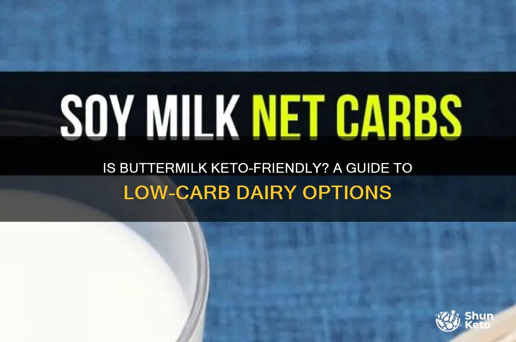 Is Buttermilk Keto-Friendly? A Guide To Low-Carb Dairy Options | ShunKeto