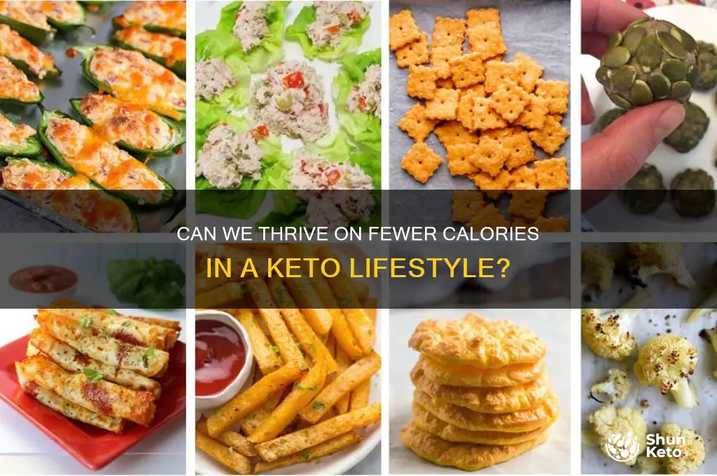 Can We Thrive On Fewer Calories In A Keto Lifestyle? | ShunKeto