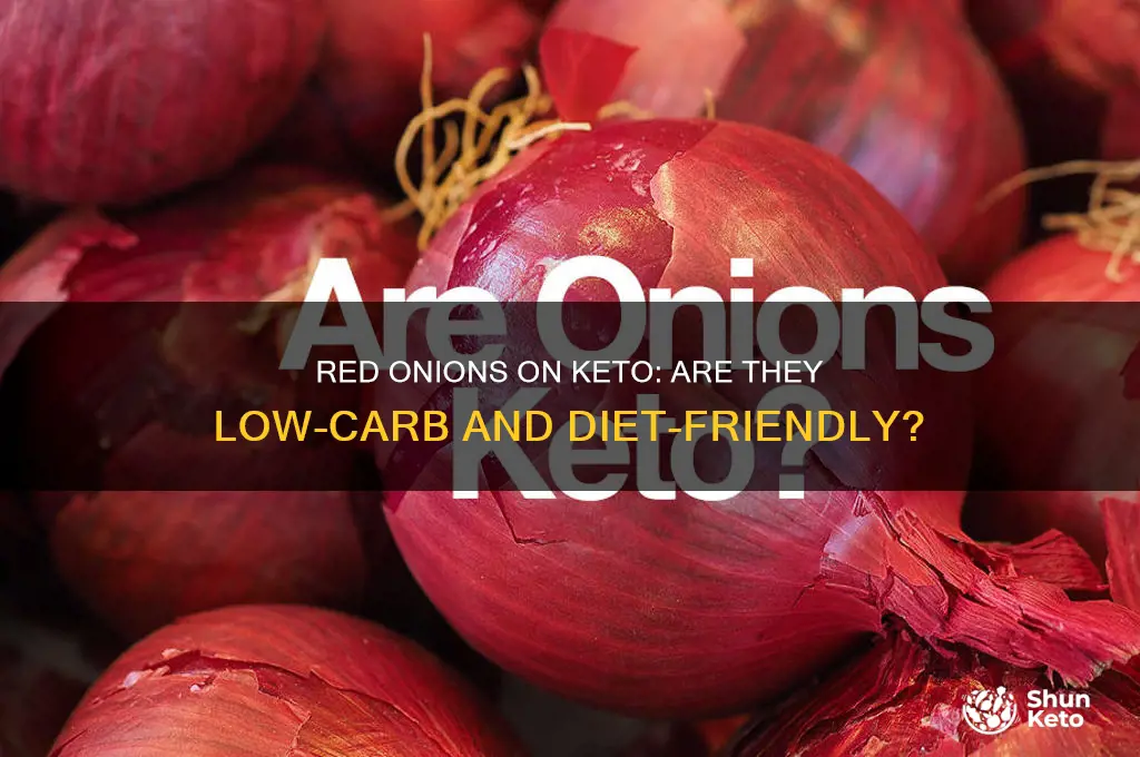 Red Onions On Keto: Are They Low-Carb And Diet-Friendly? | ShunKeto