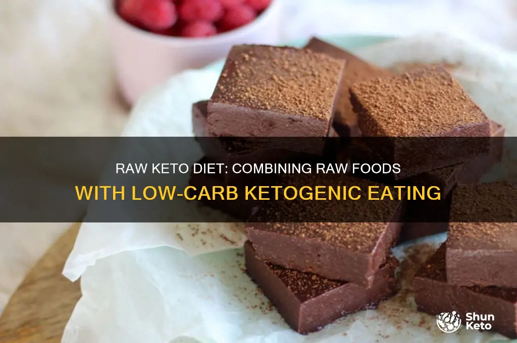 Raw Keto Diet: Combining Raw Foods With Low-Carb Ketogenic Eating ...