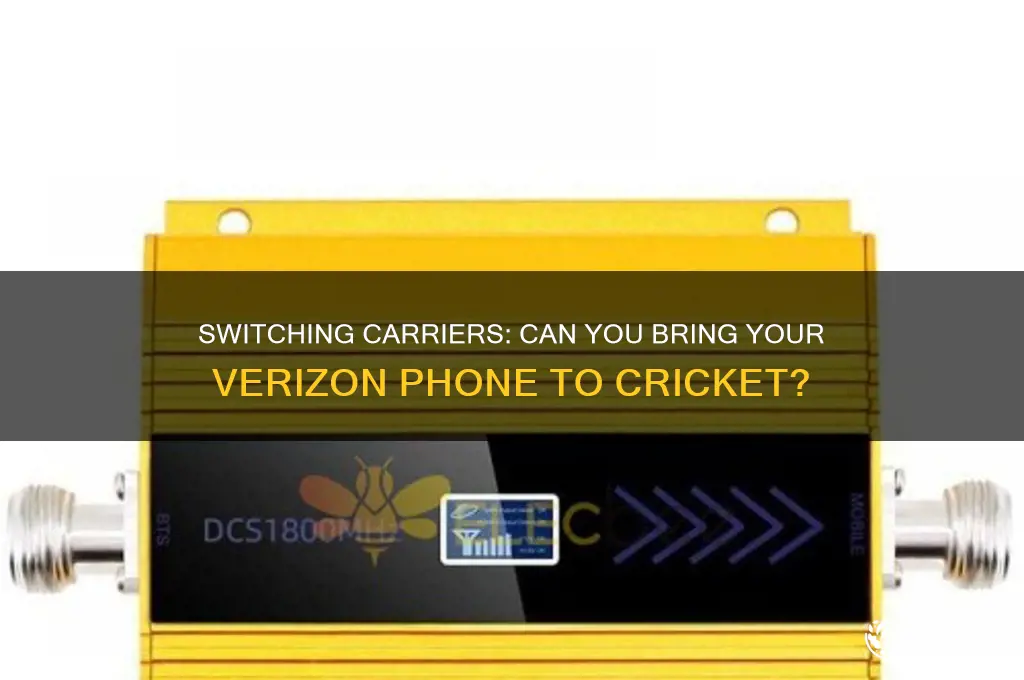 Switching Carriers: Can You Bring Your Verizon Phone To Cricket? | ShunKeto