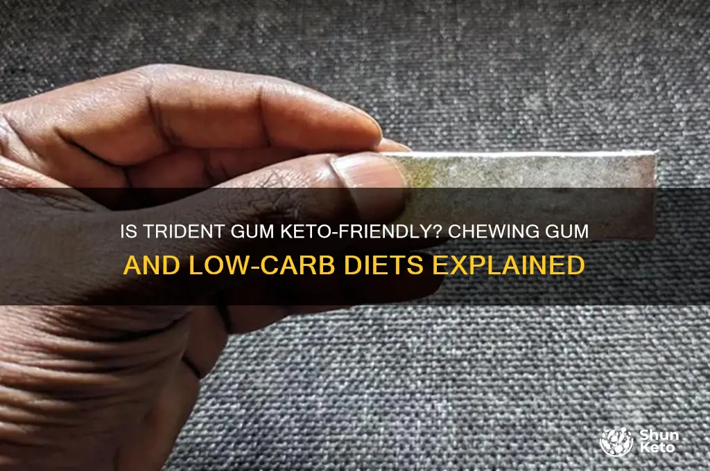 Is Trident Gum Keto-Friendly? Chewing Gum And Low-Carb Diets Explained ...