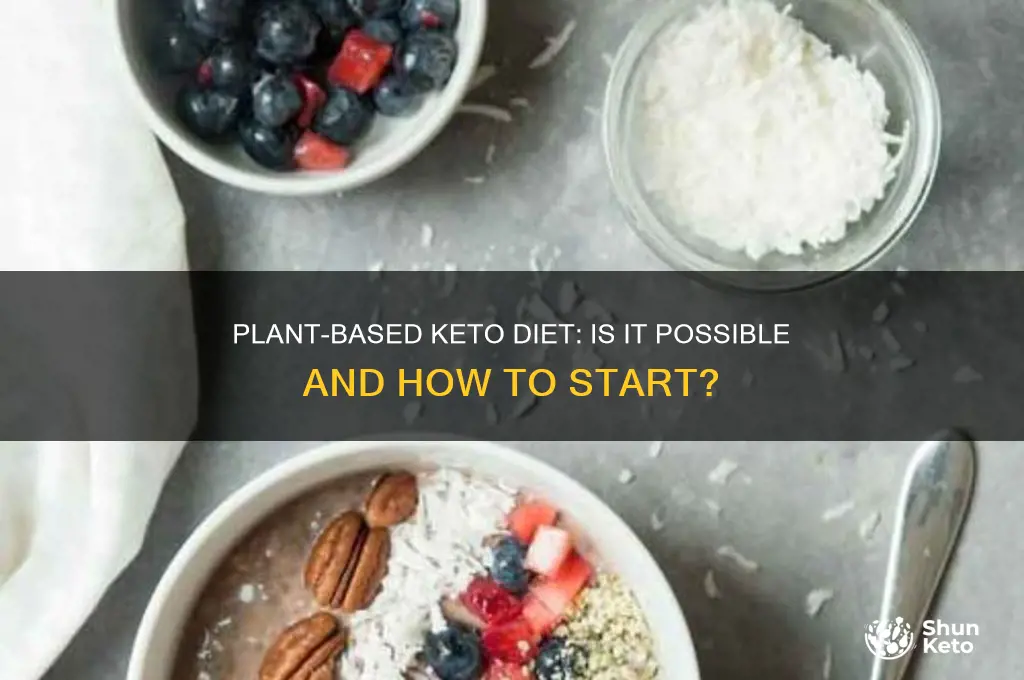 Plant-Based Keto Diet: Is It Possible And How To Start? | ShunKeto