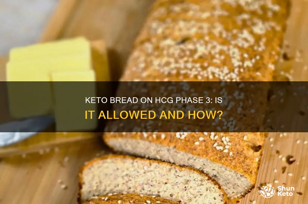 Keto Bread On Hcg Phase 3: Is It Allowed And How? | ShunKeto