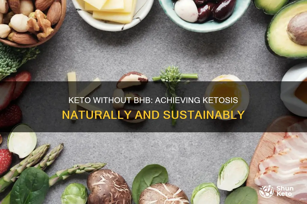 Keto Without Bhb: Achieving Ketosis Naturally And Sustainably | ShunKeto