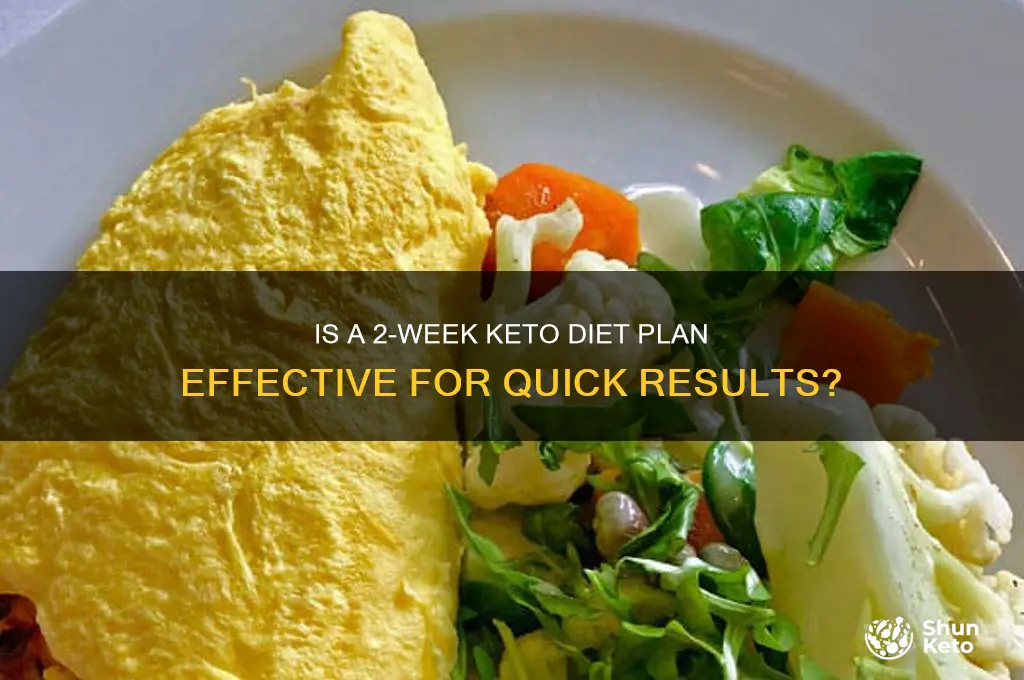 Is A 2-Week Keto Diet Plan Effective For Quick Results? | ShunKeto