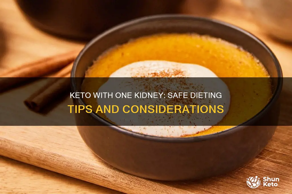 Keto With One Kidney: Safe Dieting Tips And Considerations | ShunKeto