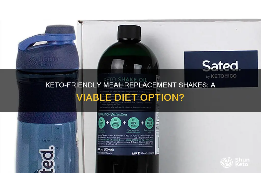 Keto-Friendly Meal Replacement Shakes: A Viable Diet Option? | ShunKeto