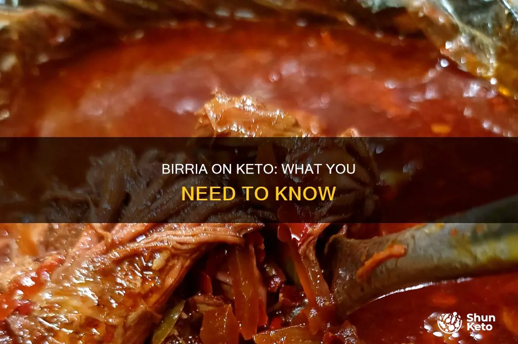 Birria On Keto: What You Need To Know | ShunKeto