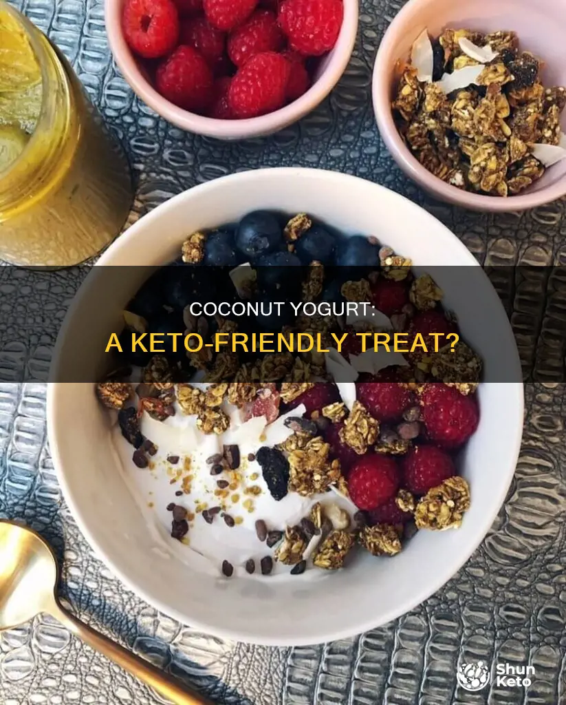 Coconut Yogurt: A Keto-Friendly Treat? | ShunKeto