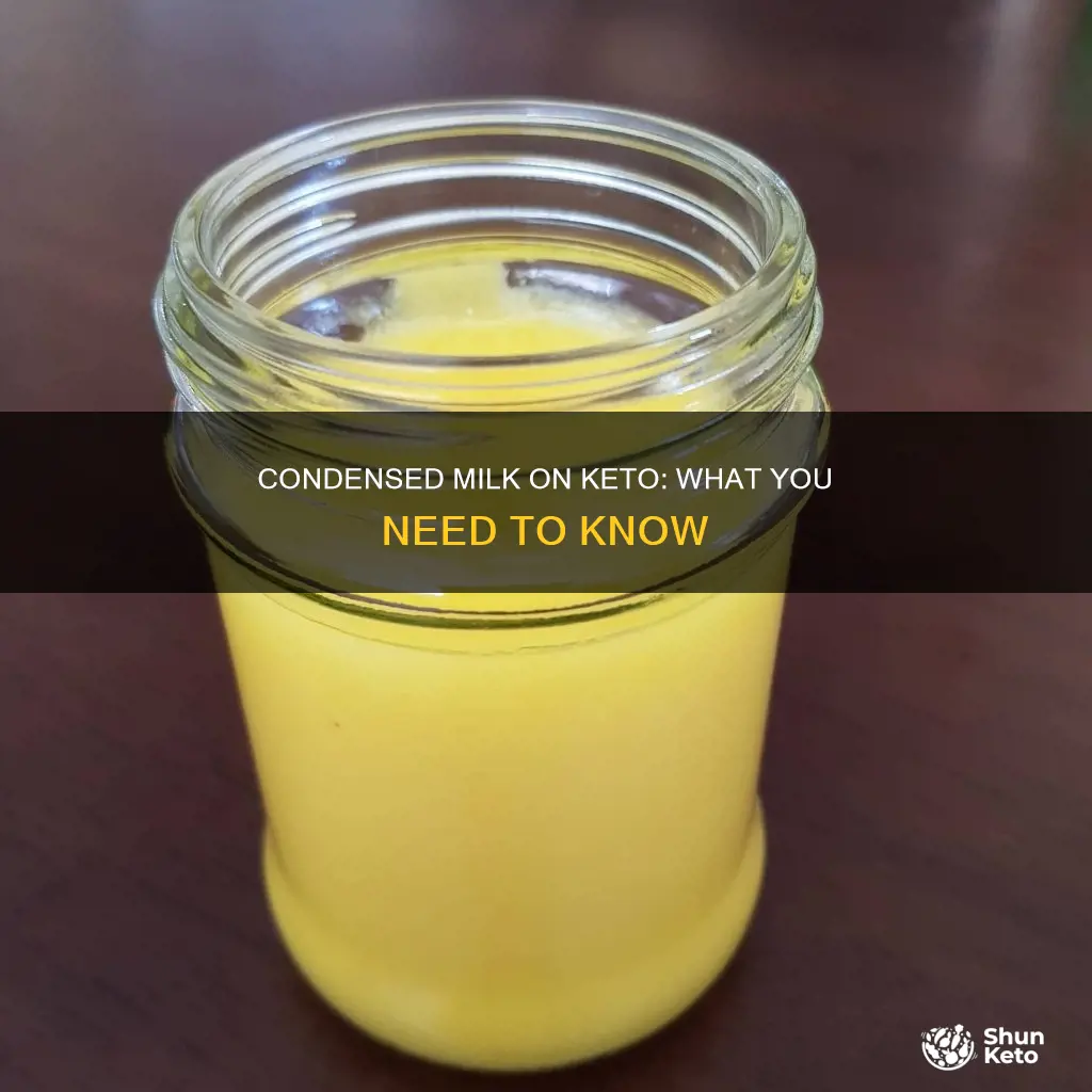 Condensed Milk On Keto: What You Need To Know | ShunKeto
