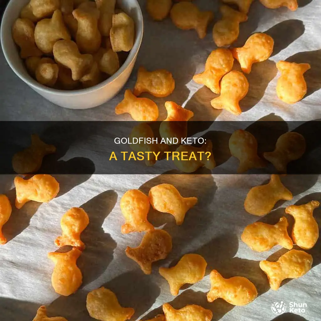 Goldfish And Keto: A Tasty Treat? | ShunKeto