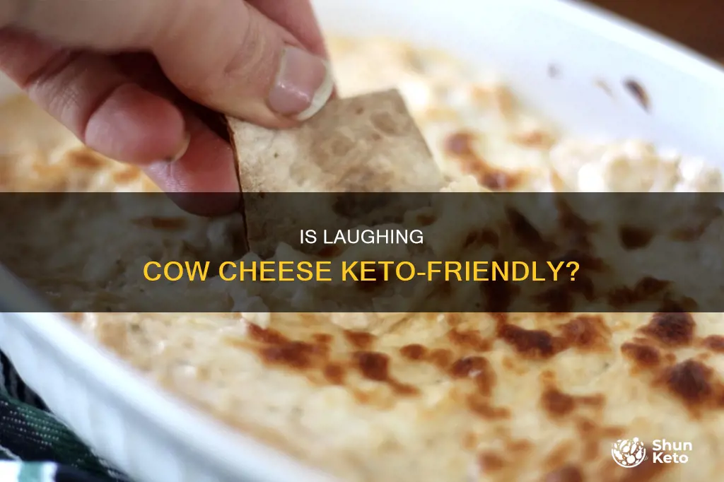 Is Laughing Cow Cheese Keto-Friendly? | ShunKeto