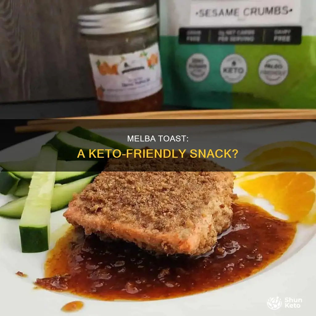 Melba Toast: A Keto-Friendly Snack? | ShunKeto