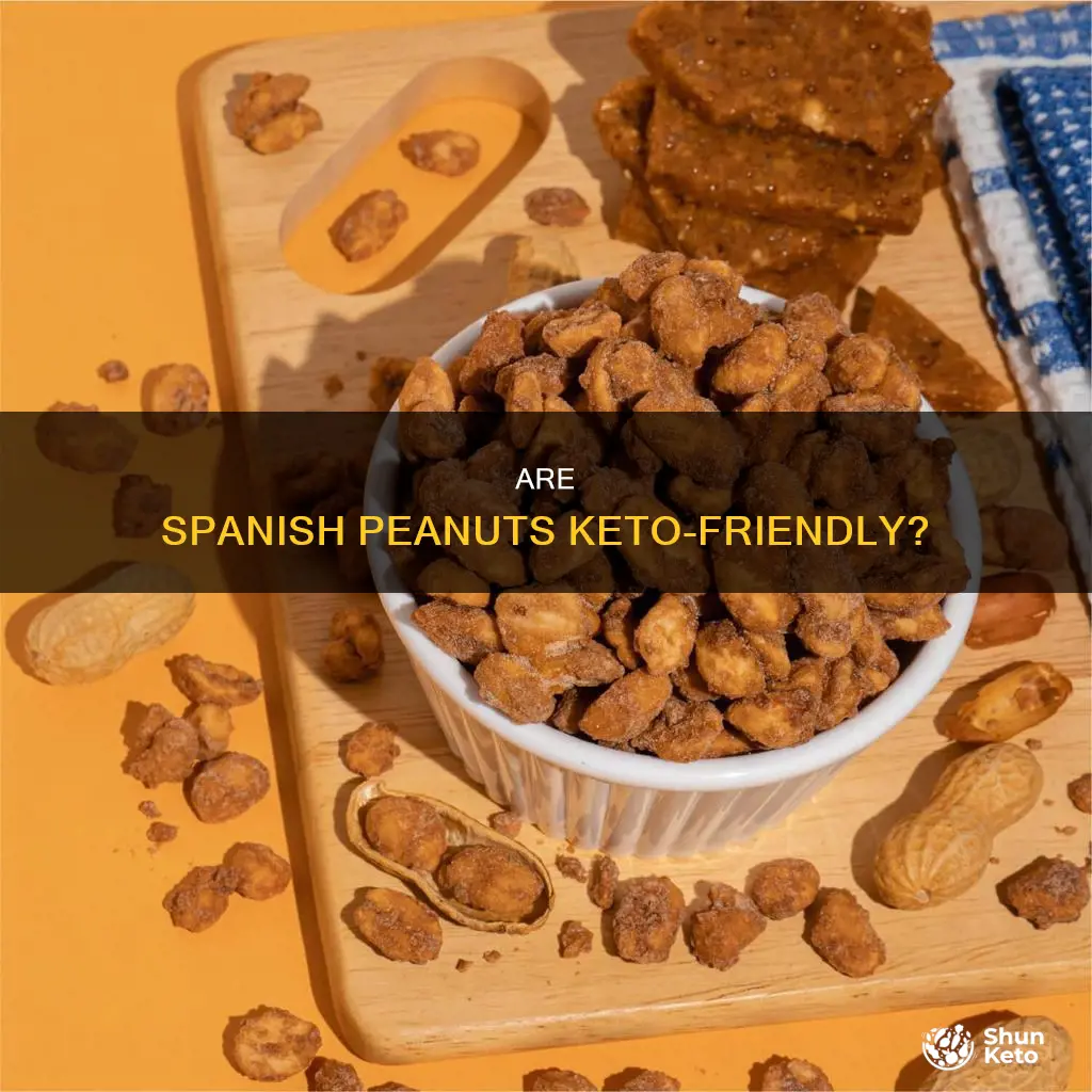 Are Spanish Peanuts Keto-Friendly? | ShunKeto