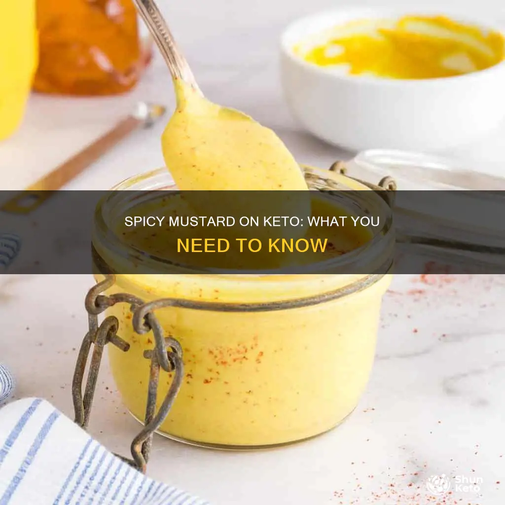 Spicy Mustard On Keto: What You Need To Know | ShunKeto