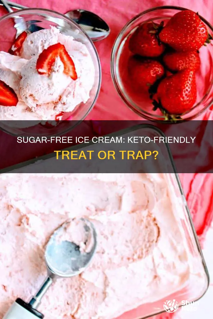 Sugar-Free Ice Cream: Keto-Friendly Treat Or Trap? | ShunKeto