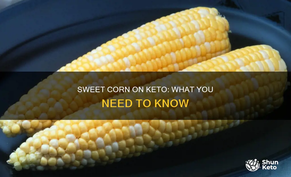 Sweet Corn On Keto: What You Need To Know | ShunKeto