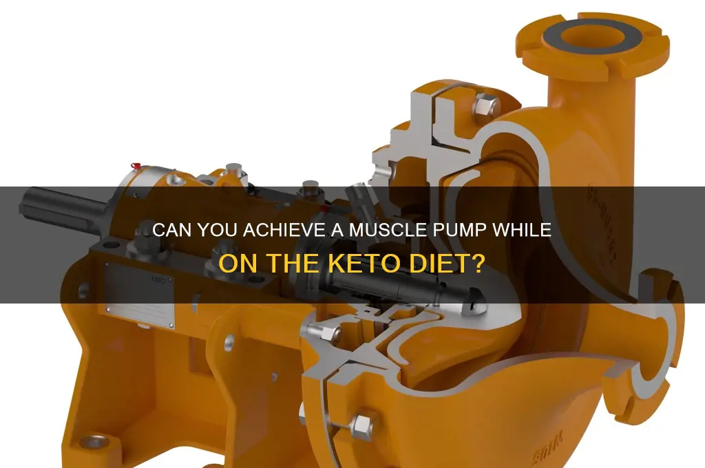 Can You Achieve A Muscle Pump While On The Keto Diet? | ShunKeto