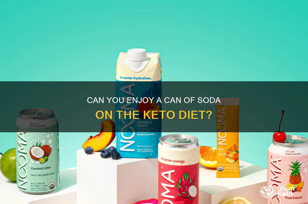 Can You Enjoy A Can Of Soda On The Keto Diet? | ShunKeto