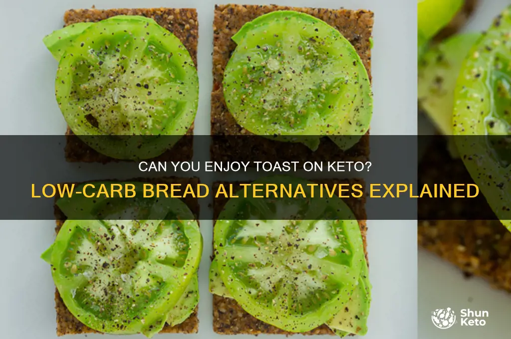Can You Enjoy Toast On Keto? Low-Carb Bread Alternatives Explained ...