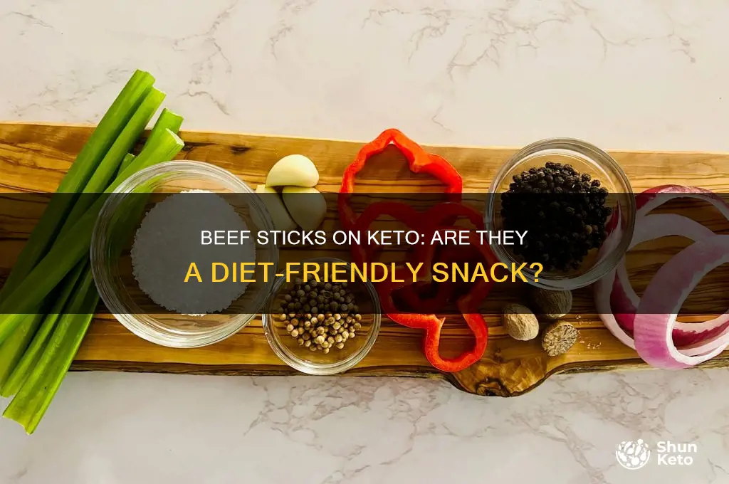 Beef Sticks On Keto: Are They A Diet-Friendly Snack? | ShunKeto