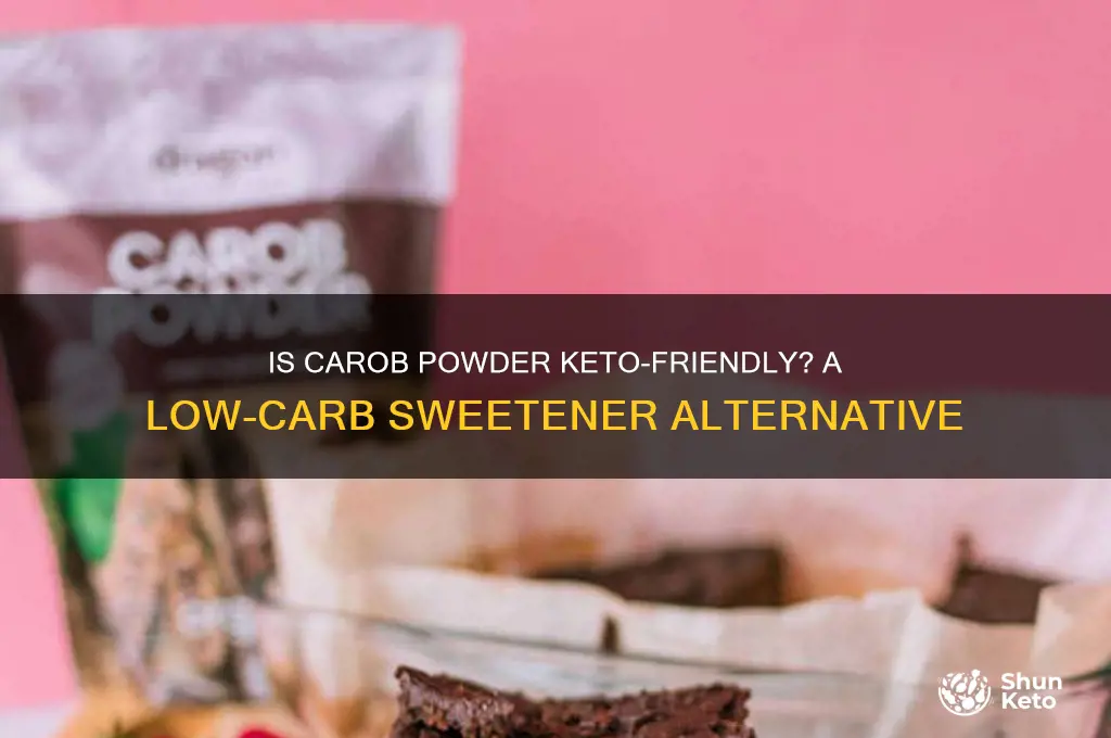 Is Carob Powder Keto-Friendly? A Low-Carb Sweetener Alternative | ShunKeto