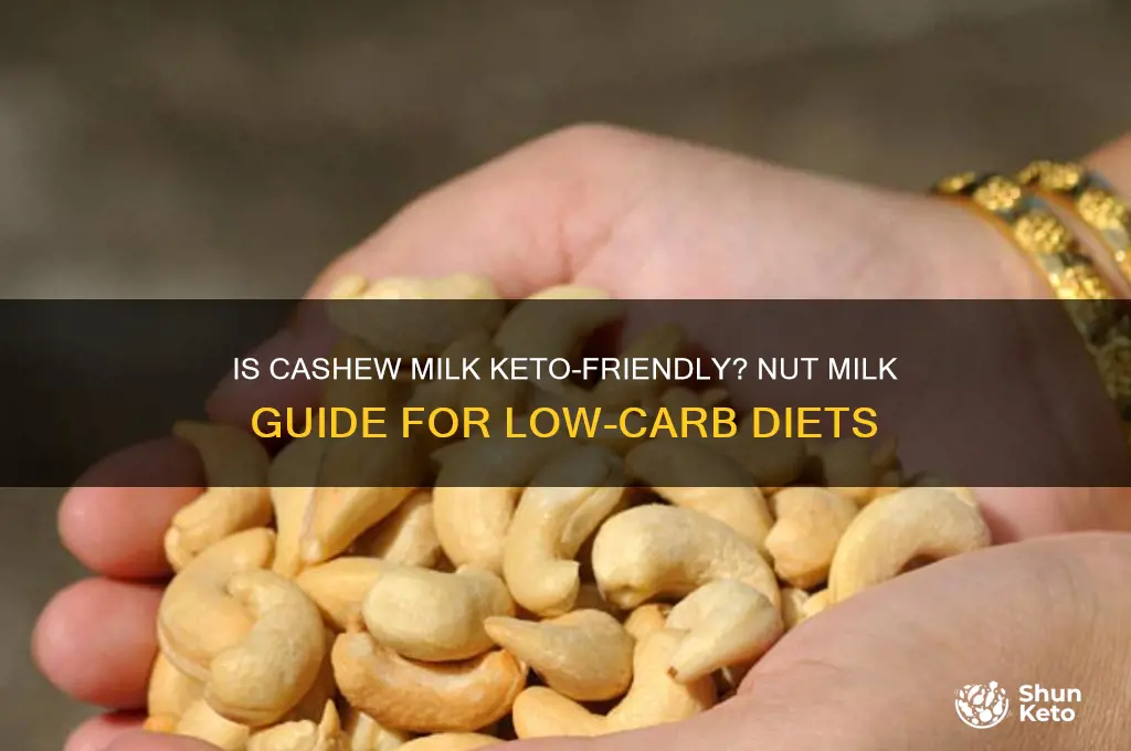 Is Cashew Milk Keto-Friendly? Nut Milk Guide For Low-Carb Diets | ShunKeto
