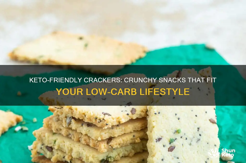 Keto-Friendly Crackers: Crunchy Snacks That Fit Your Low-Carb Lifestyle ...