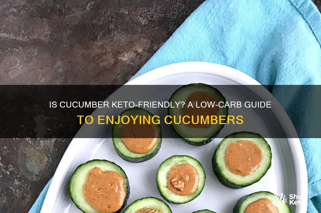 Is Cucumber Keto-Friendly? A Low-Carb Guide To Enjoying Cucumbers ...