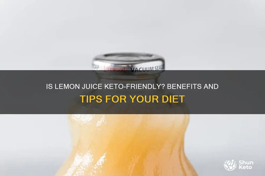 Is Lemon Juice Keto-Friendly? Benefits And Tips For Your Diet | ShunKeto