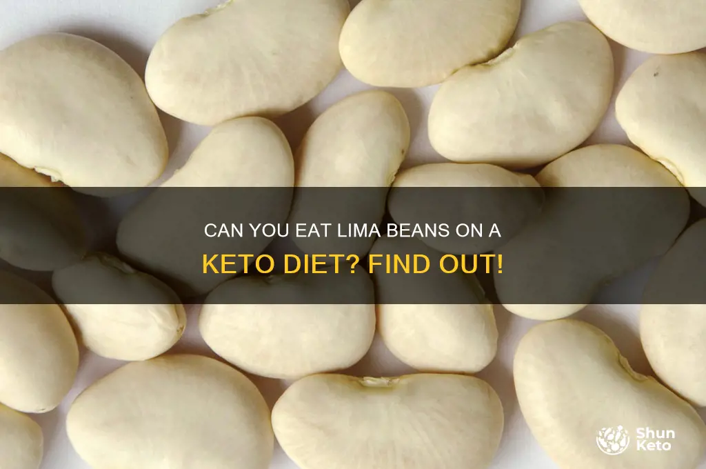 Can You Eat Lima Beans On A Keto Diet? Find Out! | ShunKeto