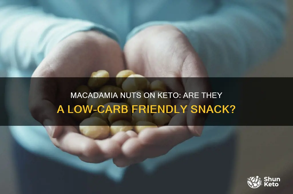 Macadamia Nuts On Keto: Are They A Low-Carb Friendly Snack? | ShunKeto