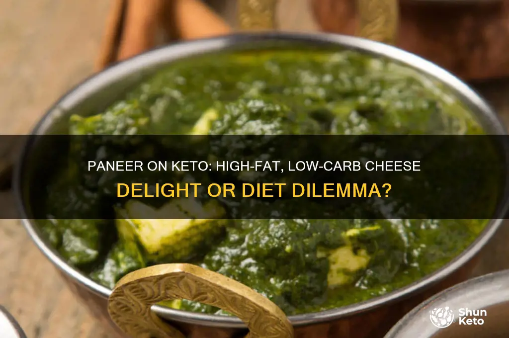 Paneer On Keto: High-Fat, Low-Carb Cheese Delight Or Diet Dilemma ...