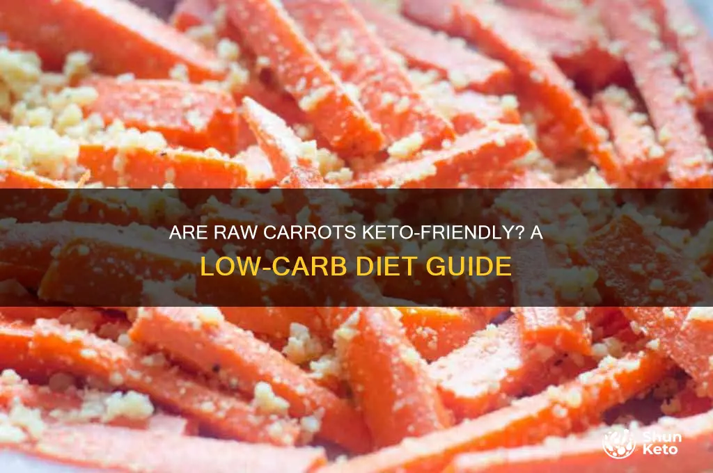 Are Raw Carrots Keto-Friendly? A Low-Carb Diet Guide | ShunKeto