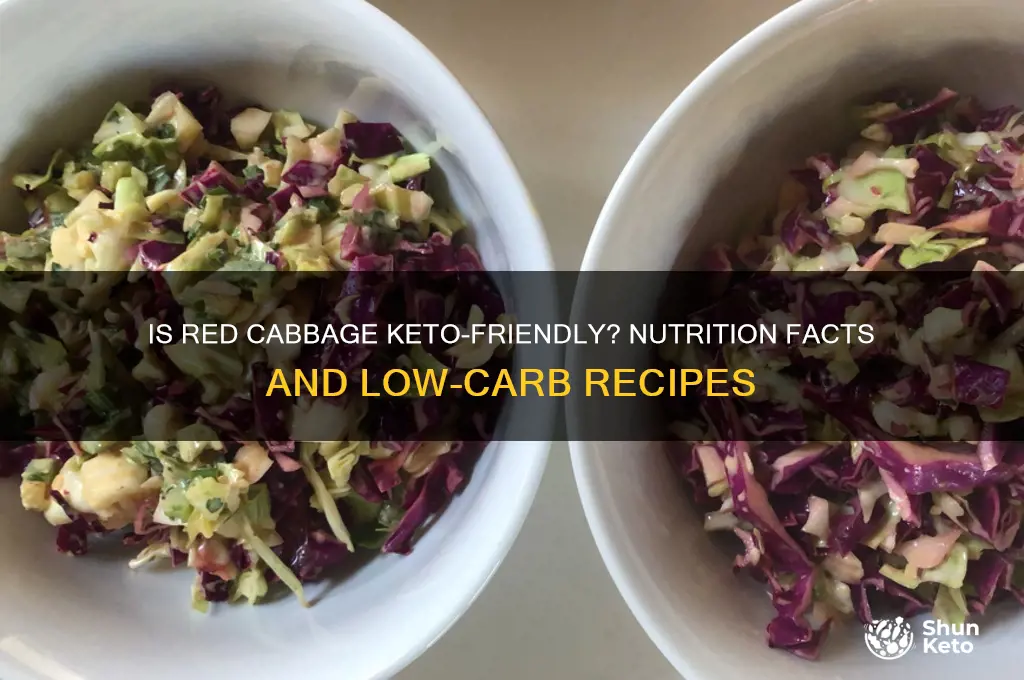 Is Red Cabbage Keto-Friendly? Nutrition Facts And Low-Carb Recipes ...