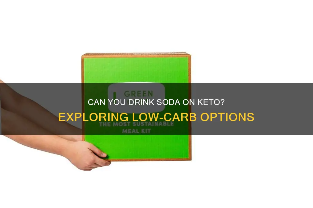 Can You Drink Soda On Keto? Exploring Low-Carb Options | ShunKeto
