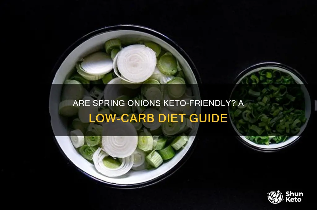 Are Spring Onions Keto-Friendly? A Low-Carb Diet Guide | ShunKeto