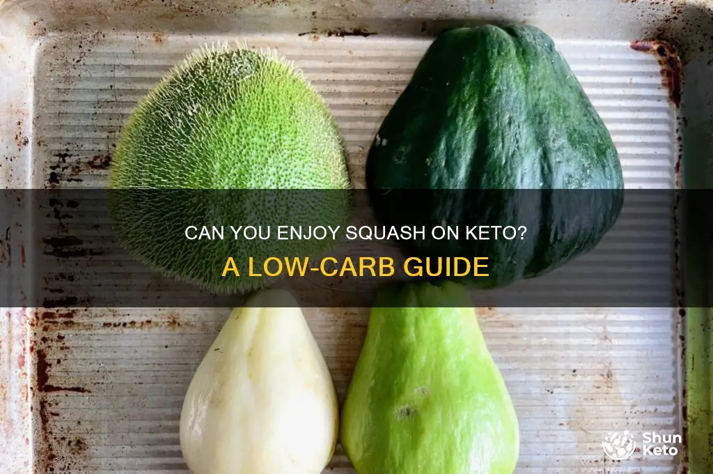 Can You Enjoy Squash On Keto? A Low-Carb Guide | ShunKeto