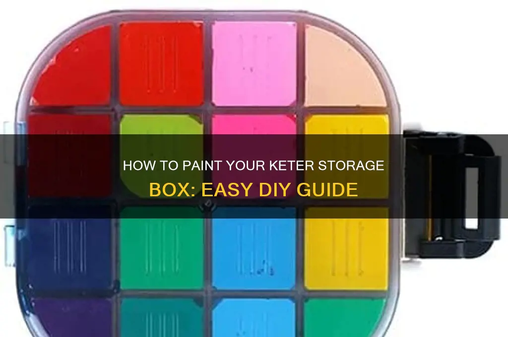 How To Paint Your Keter Storage Box: Easy Diy Guide | ShunKeto