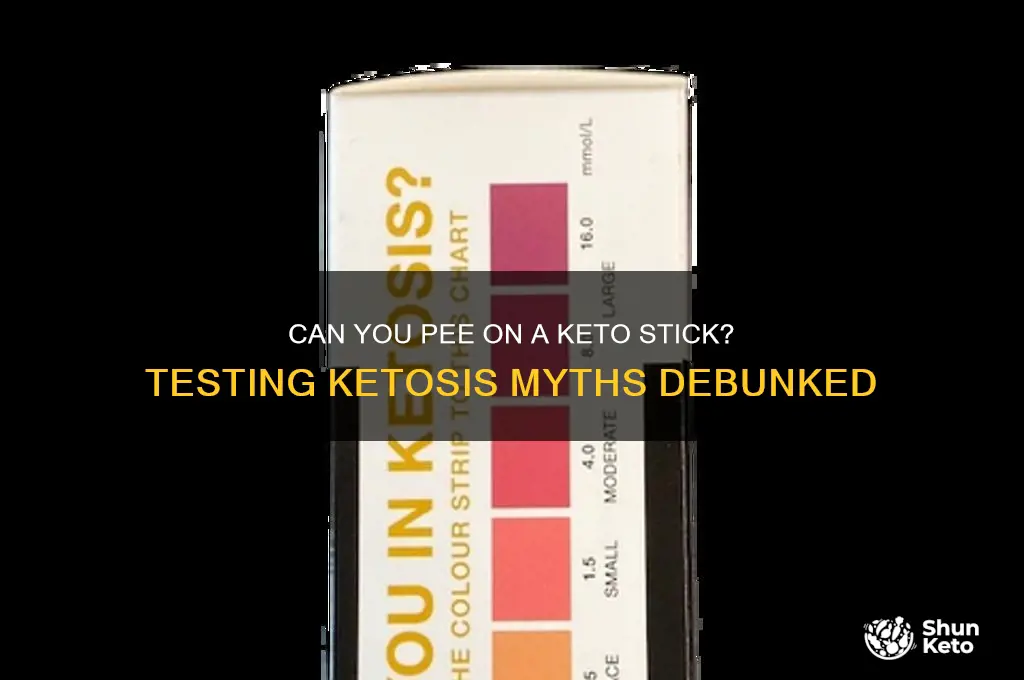 Can You Pee On A Keto Stick? Testing Ketosis Myths Debunked | ShunKeto